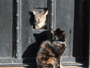 Viel Lob für die Meller „Kinderklappe“ – Riemsloh Stadtteil von Melle